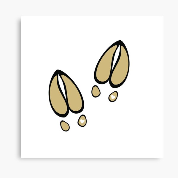 Cu Boulder Canvas Prints | Redbubble