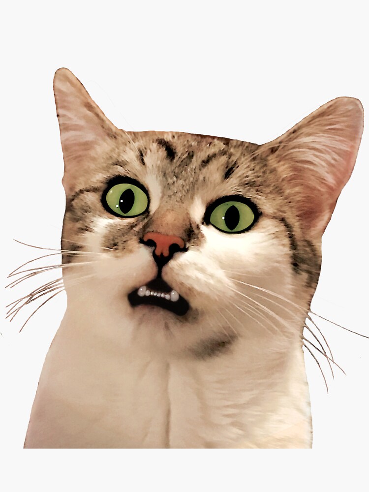 "Shook cat face" Sticker by markmyworld8 | Redbubble