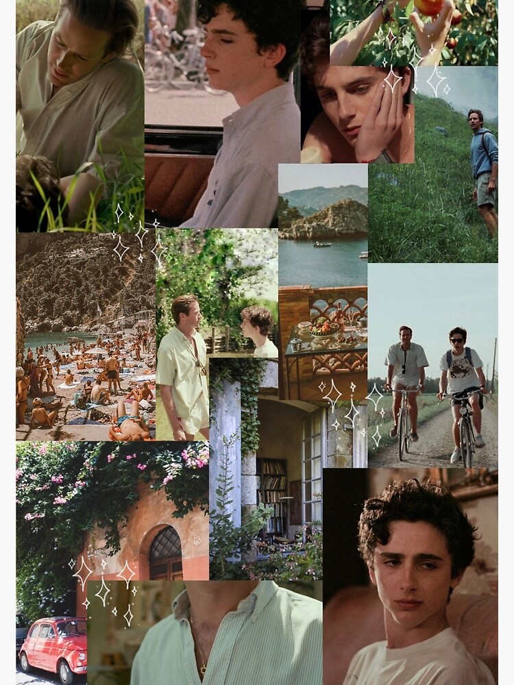 "CMBYN AESTHETIC MOODBOARD" Canvas Print for Sale by h-baileyy | Redbubble