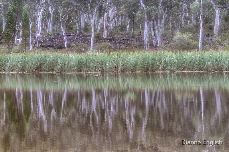"Australian Reflections" by Dianne English | Redbubble