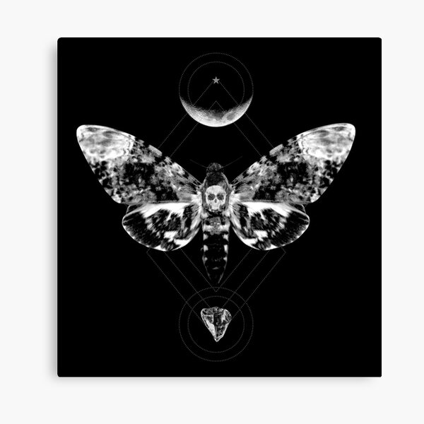 Oil Painting Emperor Moth Gothic Framed Goth Home Witch D\u00e9cor Moth ...