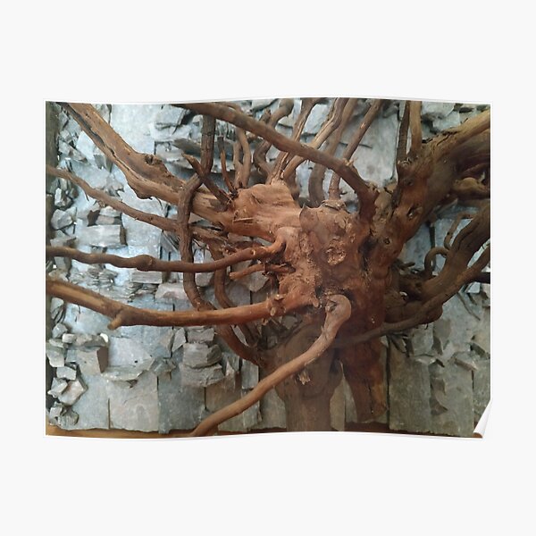 Timberland Posters | Redbubble