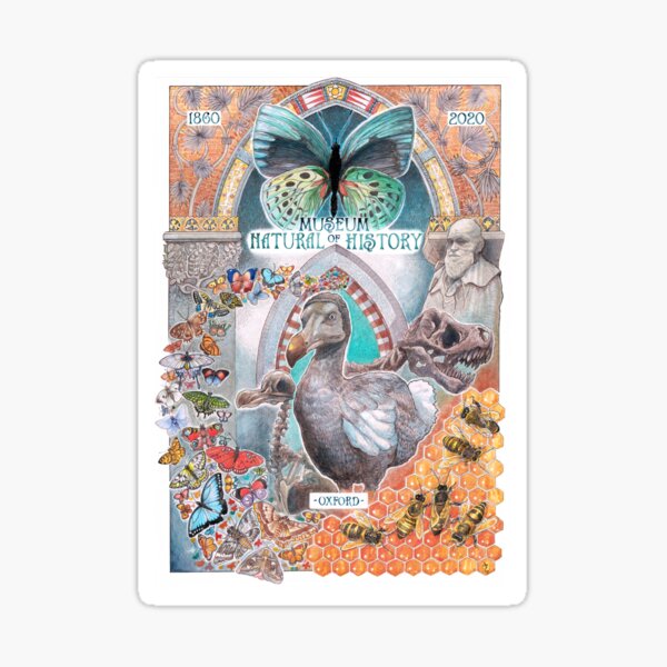 "Oxford Natural History Museum" Sticker by digbylidstone | Redbubble