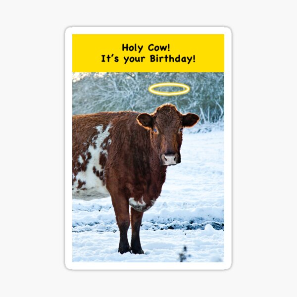 "Holy Cow!" Sticker for Sale by sleepingdogprod | Redbubble