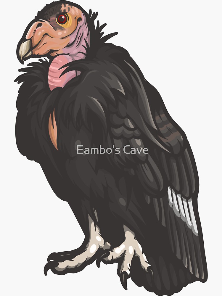 "California Condor" Sticker by Ginboy | Redbubble