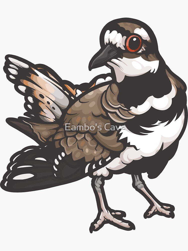 "Killdeer" Sticker for Sale by Eambo's Cave | Redbubble