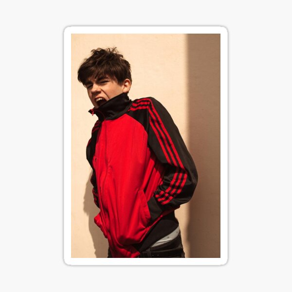 "declan mckenna " Sticker by beccasssssss | Redbubble