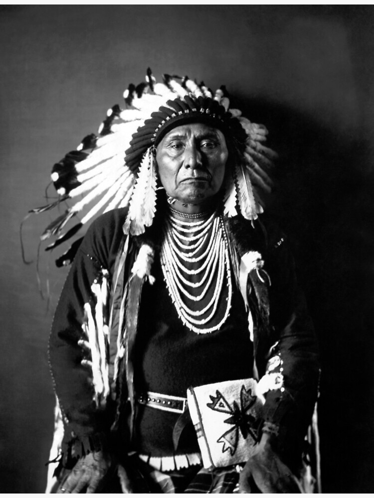 Chief Joseph - Nez Perce Chief - Circa 1900 Premium Matte Vertical ...