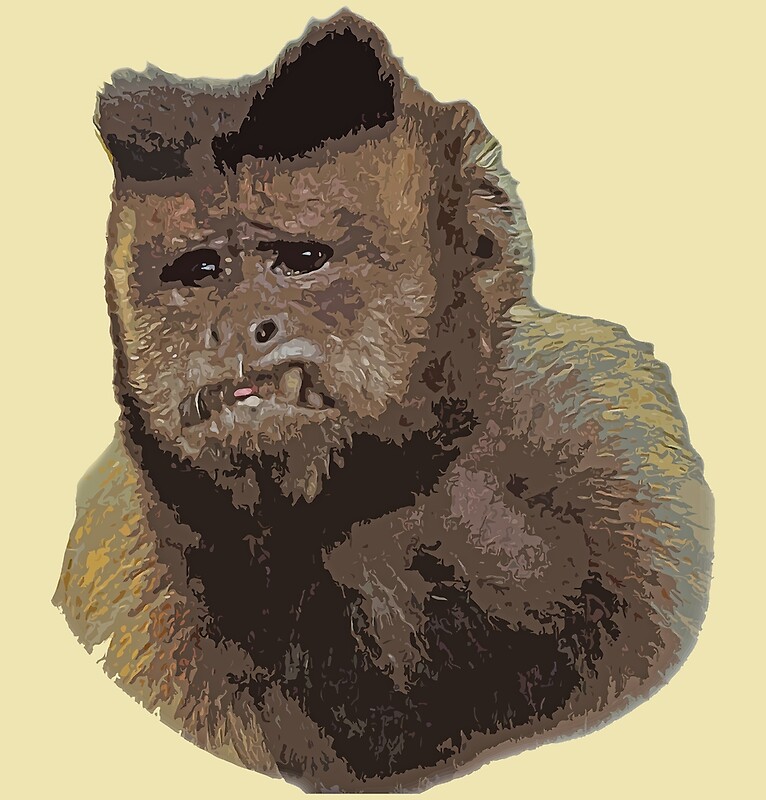 "Angry monkey" by Guardi71 | Redbubble