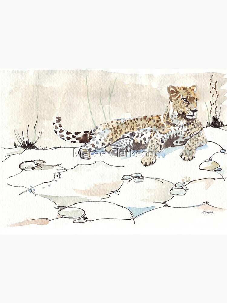 "African Leopard {Panthera pardus} 'Luiperd'" Poster for Sale by ...