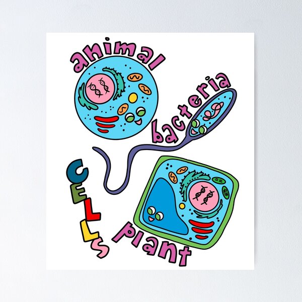 "Happy Cells | Biology Science Design" Poster for Sale by tweestitch ...
