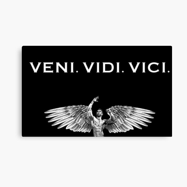 Veni Vidi Vici Wall Art | Redbubble