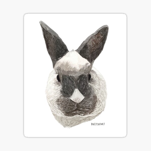 "White Bunny Rabbit" Sticker for Sale by buzzcutart | Redbubble