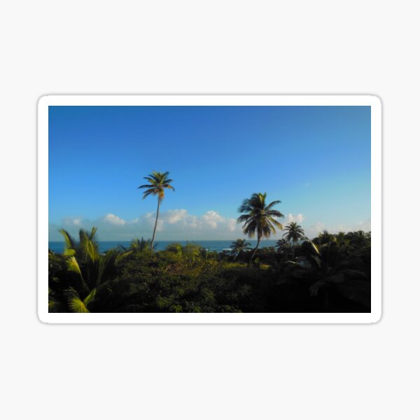 "Isabela Puerto Rico" Sticker by EloiseArt | Redbubble