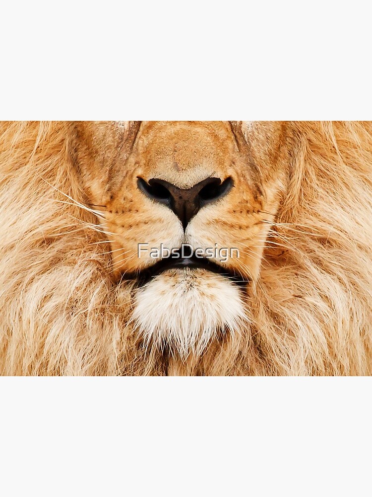 "The Lion's Muzzle" Mask for Sale by FabsDesign | Redbubble