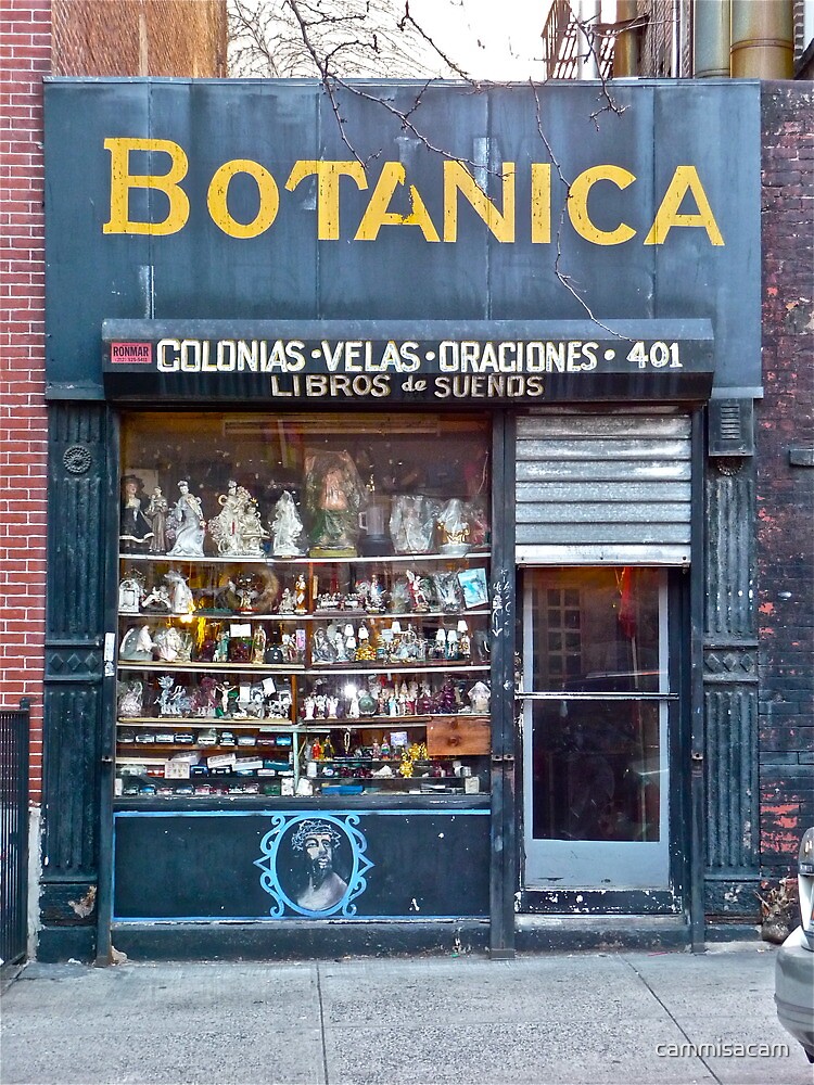 "BOTANICA STORE" Poster for Sale by cammisacam | Redbubble