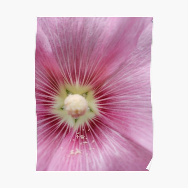 "Pretty & Pink" Poster by Drulag | Redbubble