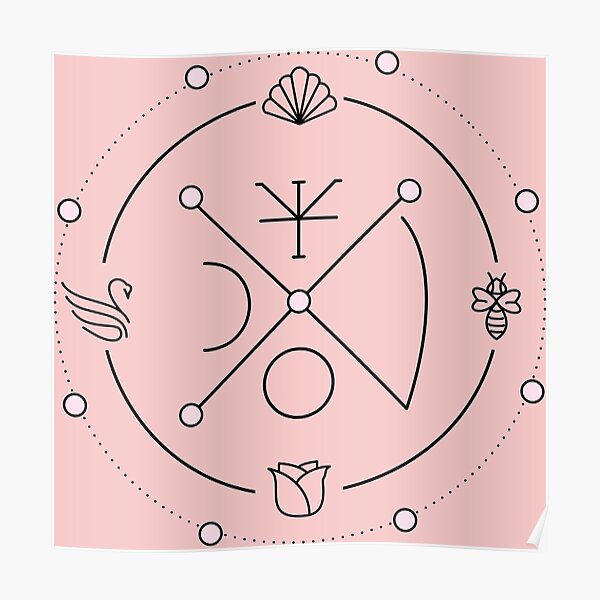 Seashell Posters | Redbubble