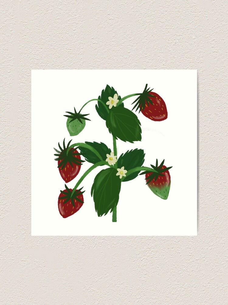 "Strawberry Vine" Art Print by ameliamellberg | Redbubble