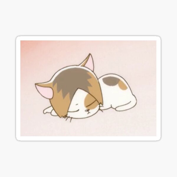 "Haikyuu!! Cat!Kenma" Sticker by Maiokoe | Redbubble