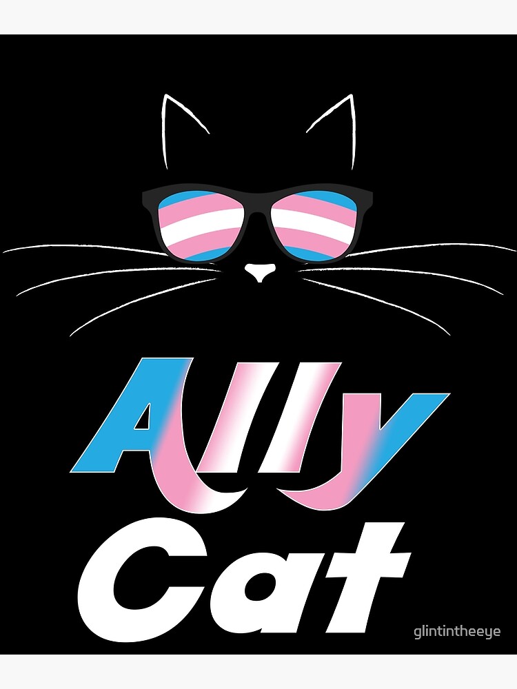 "Trans Ally Cat Gay Pride Kitty Trans Pride" Poster by glintintheeye ...