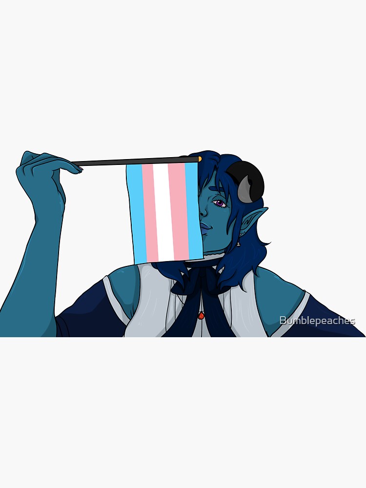 "Trans Jester" Sticker for Sale by Bumblepeaches | Redbubble