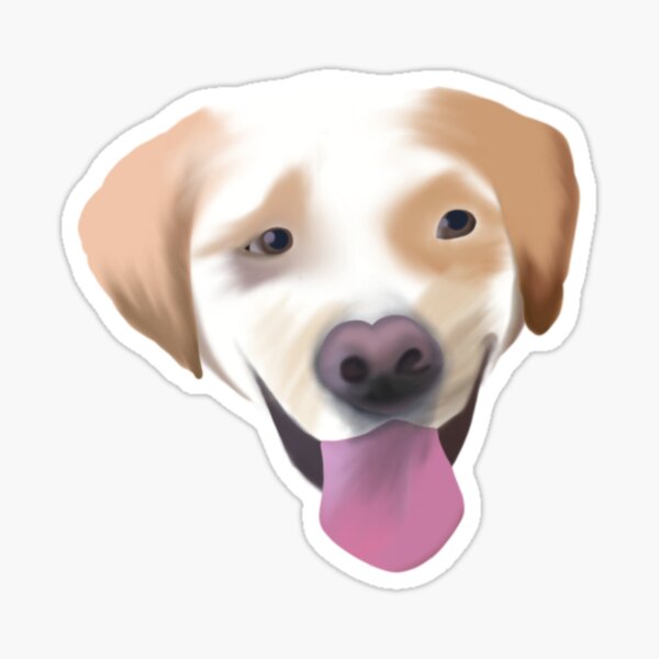 "Yellow Lab Dog" Sticker by emilyosman | Redbubble