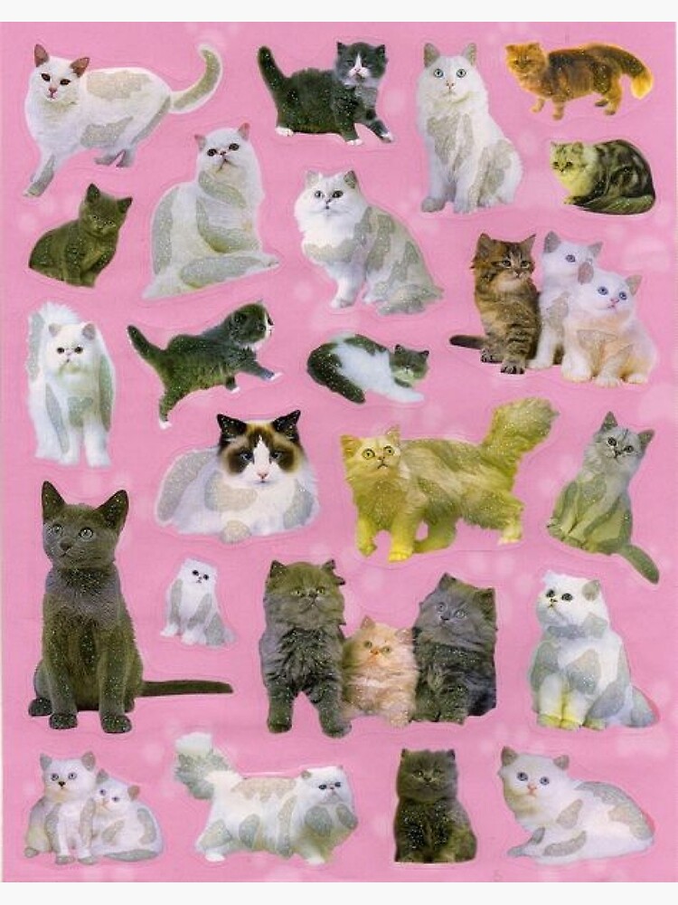 "y2k pink cat aesthetic" Photographic Print by elinguinness | Redbubble