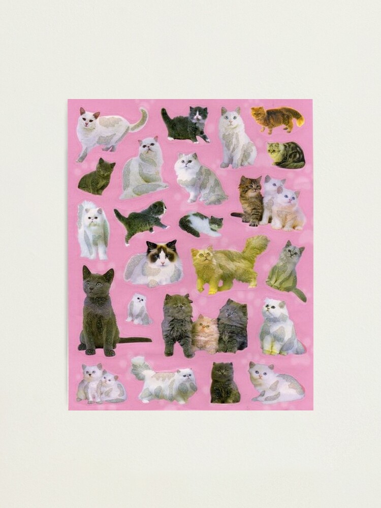 "y2k pink cat aesthetic" Photographic Print by elinguinness | Redbubble