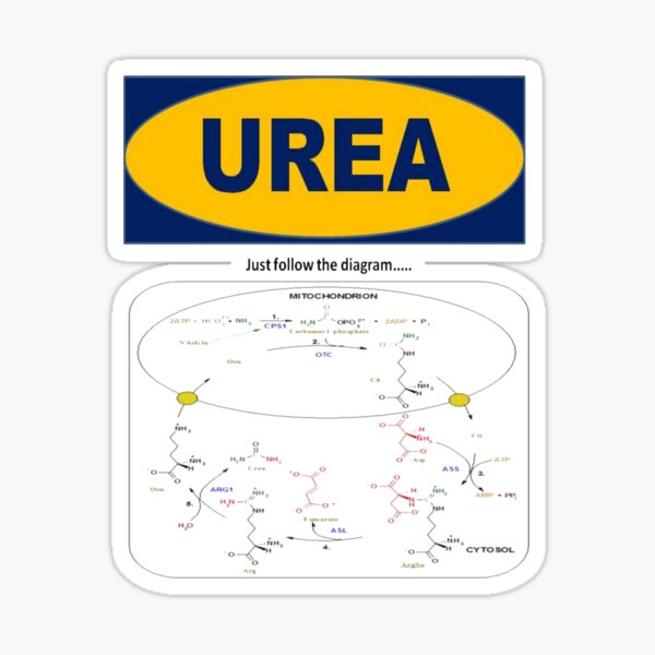 "Urea: The Diagram takes the Piss" Sticker by taiche | Redbubble