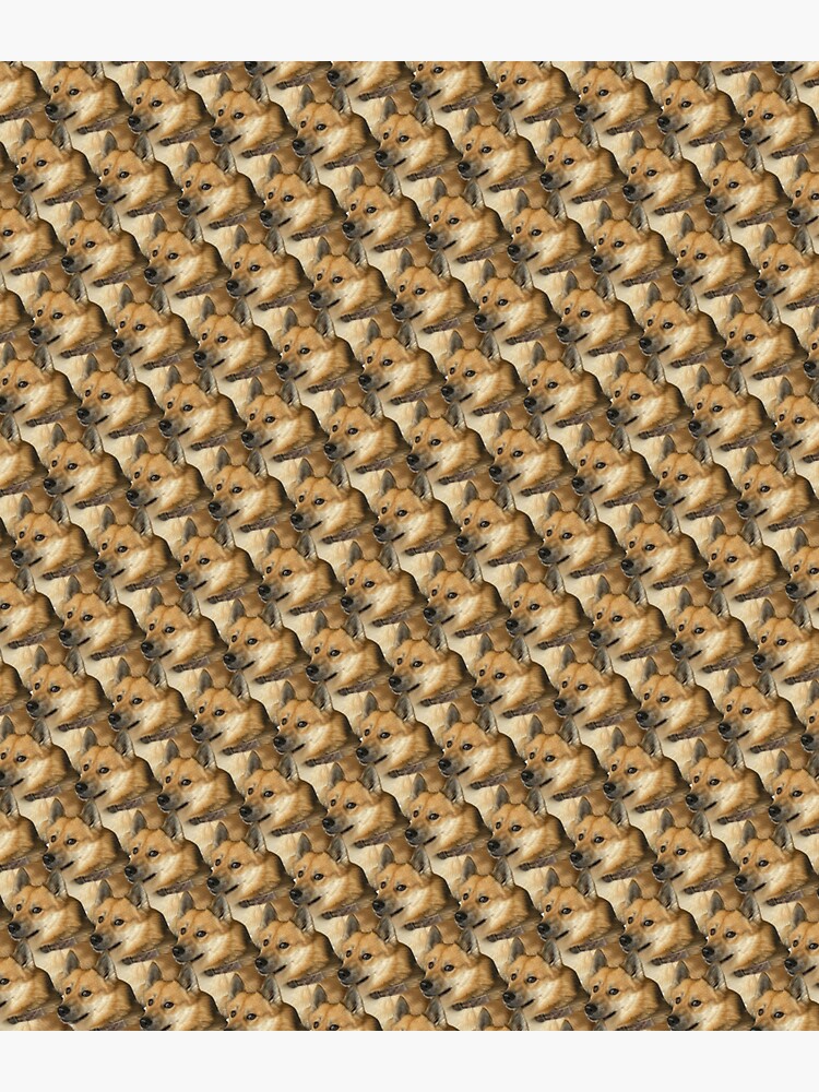 "Doge 2 Collage" Sticker by EmoteBot | Redbubble