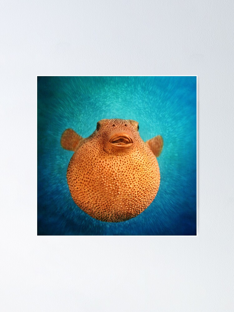 "Staring contest" Poster by Irene2005 | Redbubble