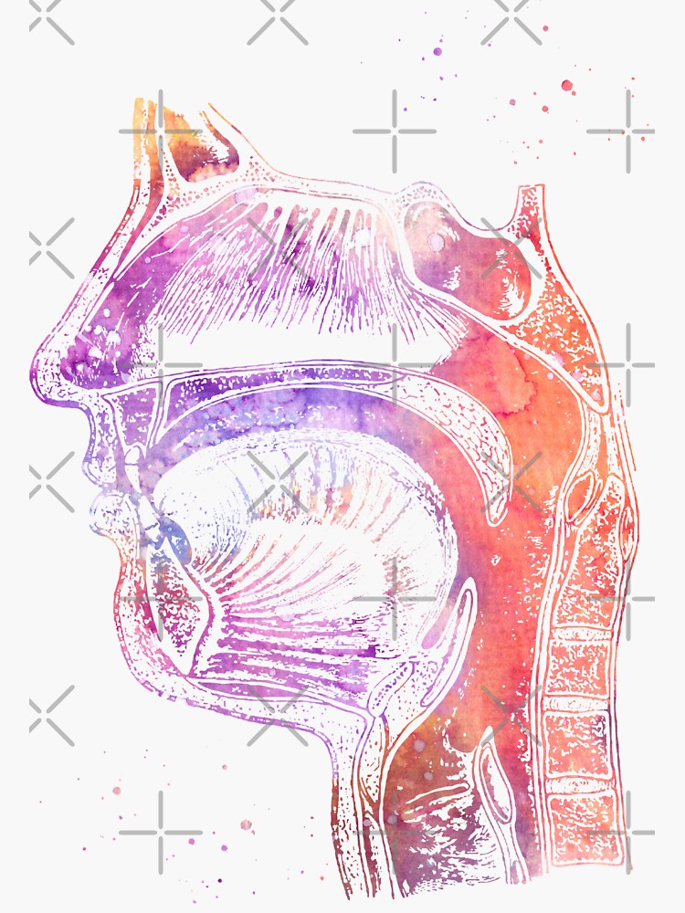"Respiratory system" Sticker by erzebetth | Redbubble