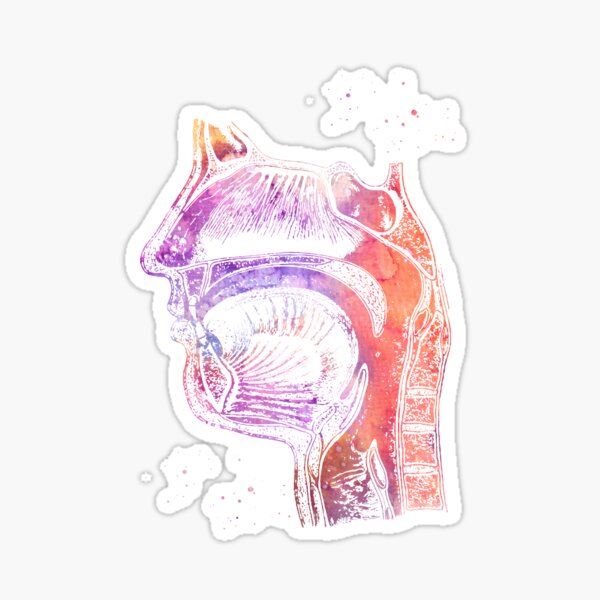 "Respiratory system" Sticker by erzebetth | Redbubble