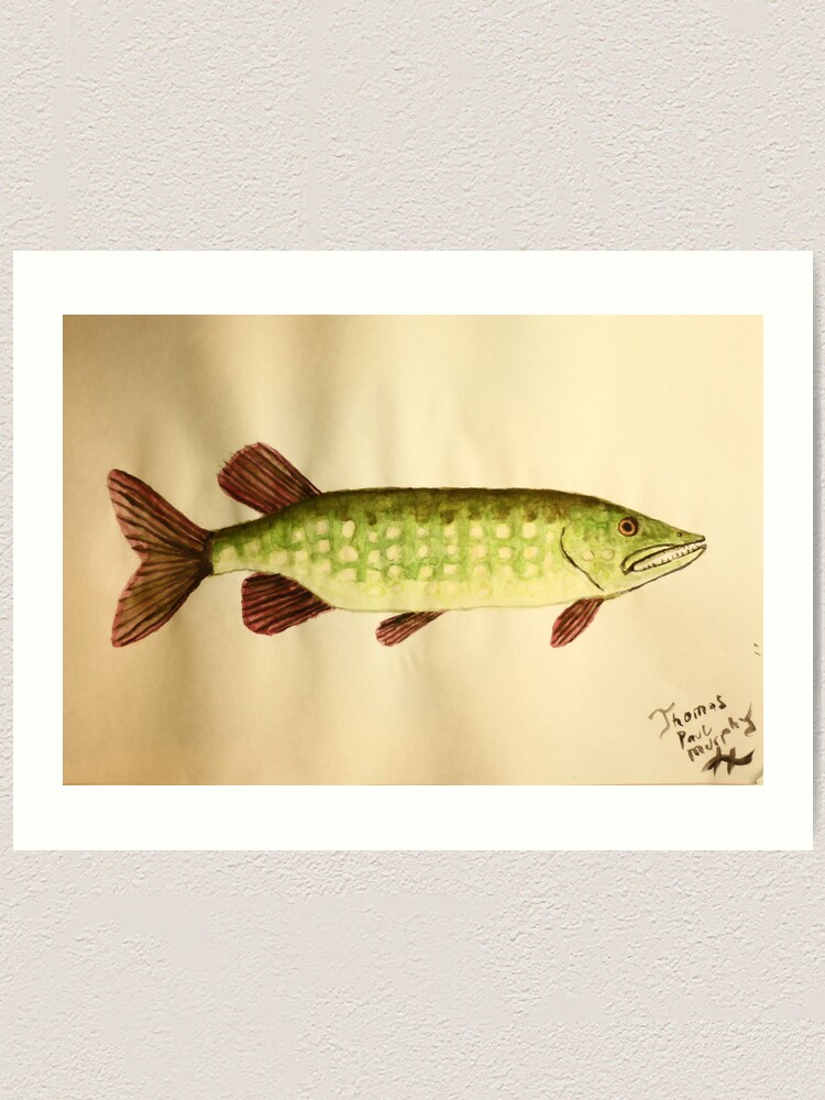 "Northern Pike" Art Print by ThomasMurphy | Redbubble