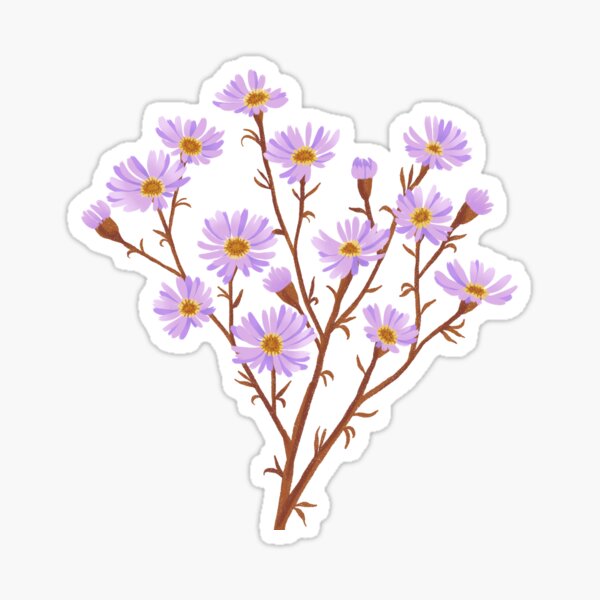 "ASTER" Sticker by kristinnohe | Redbubble