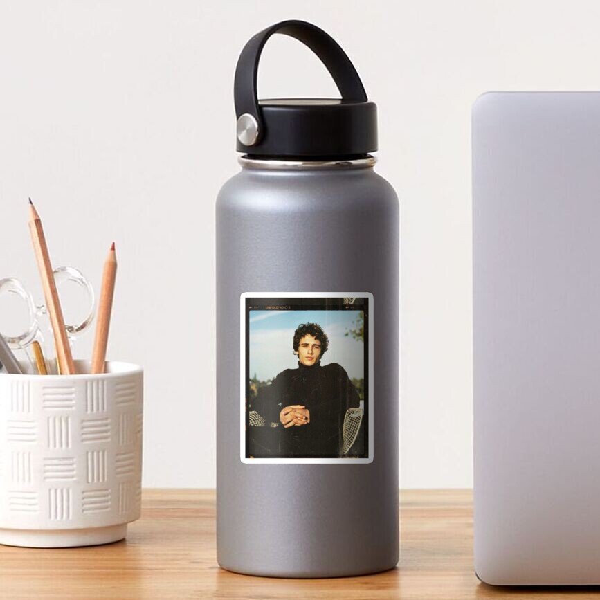 "Young James Franco" Sticker by cecilialay | Redbubble