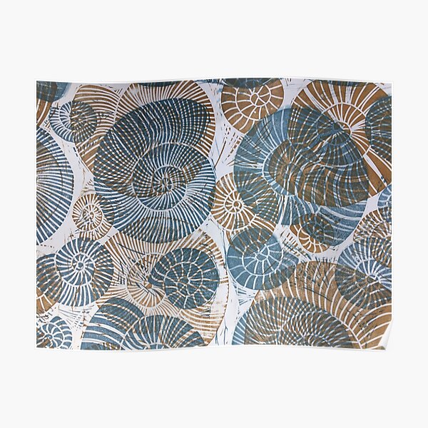 "Sandy Ammonites" Poster by janedignum | Redbubble