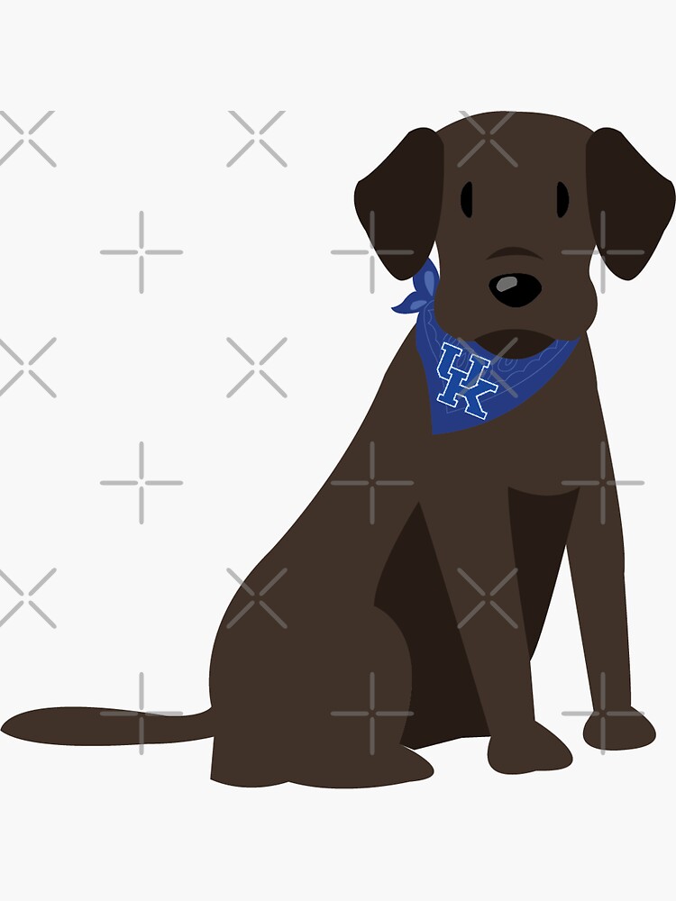 "University of Kentucky Dog, Black Lab" Sticker for Sale by missavaw ...