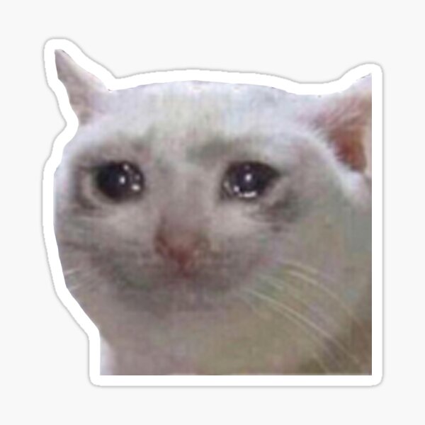 "Crying Cat meme / mericCat emote" Sticker for Sale by Mash701 | Redbubble