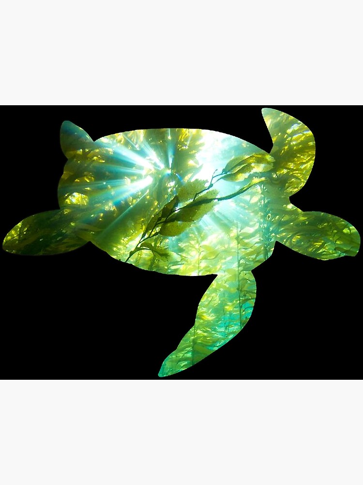 Sea Turtle Silhouette Kelp Forest Cutout Premium Matte Vertical Poster ...