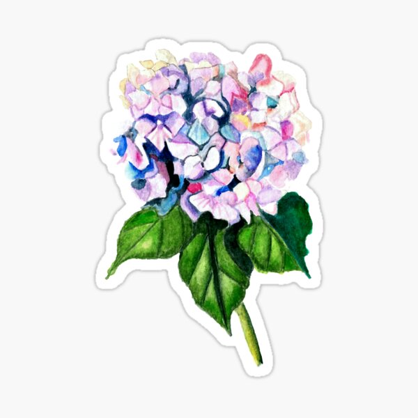 Hydrangea Stickers | Redbubble