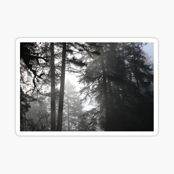 "Forest trees with morning fog" Sticker for Sale by arrow14thompson ...