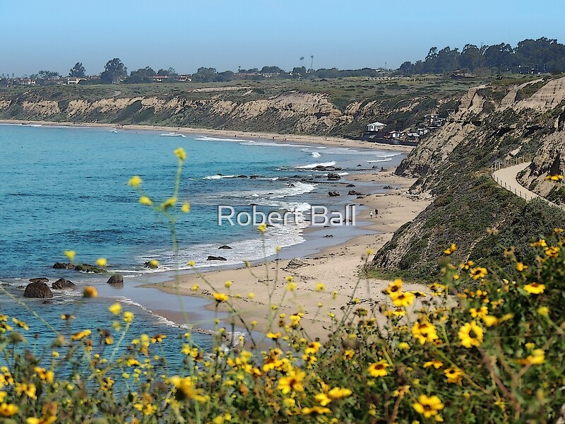 "Crystal Cove" by Robert Ball | Redbubble