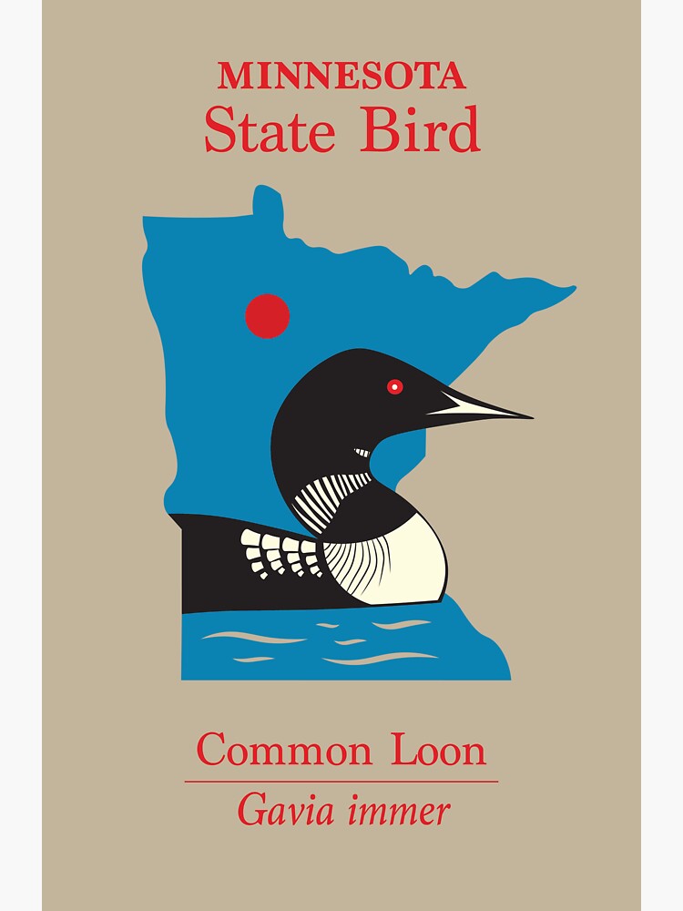 "Minnesota State Bird Poster" Sticker for Sale by davidragan | Redbubble