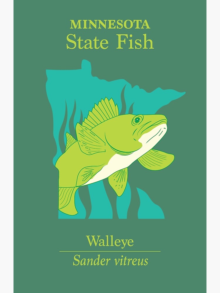 "Minnesota State Fish Poster" Poster by davidragan | Redbubble
