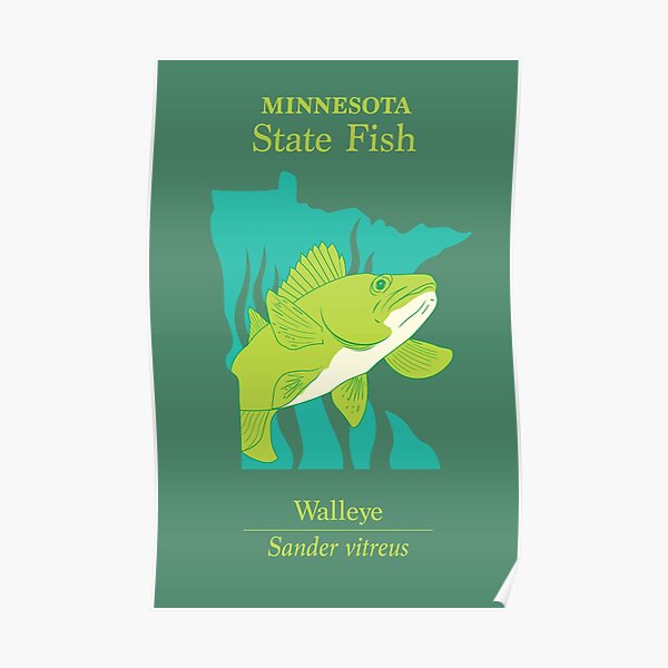 "Minnesota State Fish Poster" Poster by davidragan | Redbubble