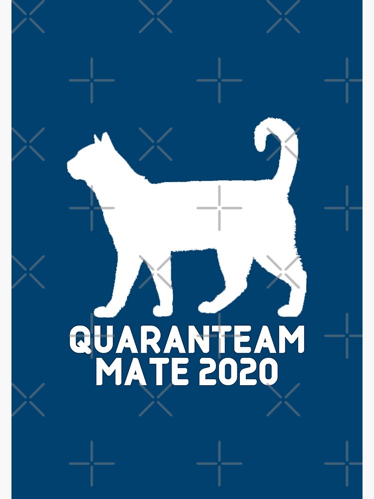 "Quaranteam Mate Quarantine Mate #01" Poster by SalahBlt | Redbubble