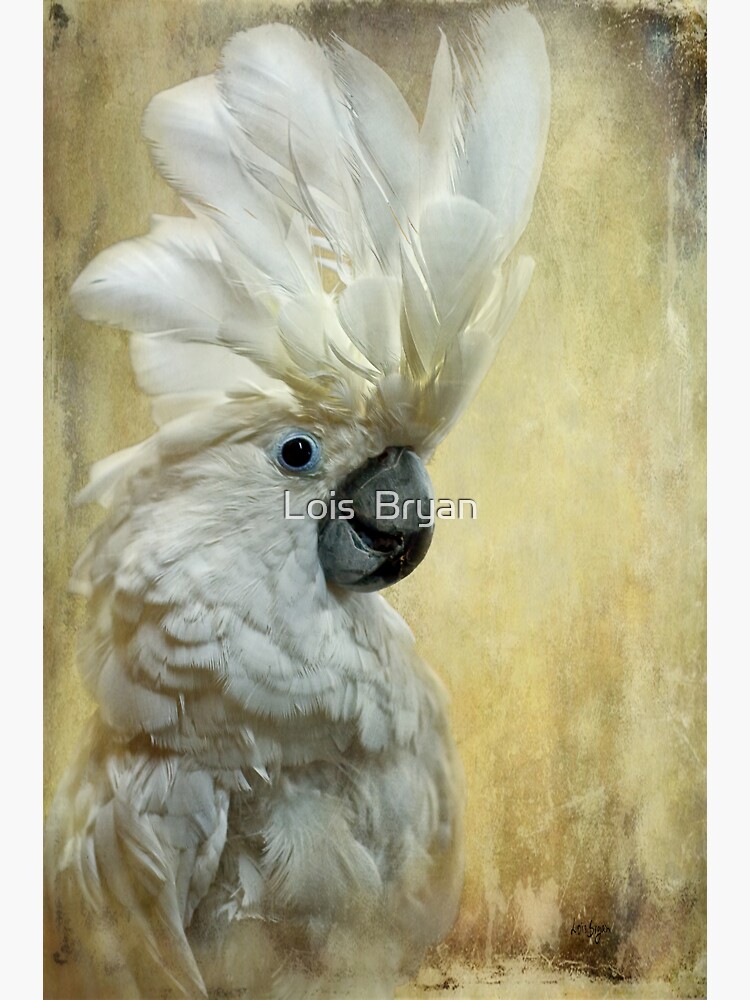 "Glamour Girl" Sticker for Sale by LoisBryan | Redbubble