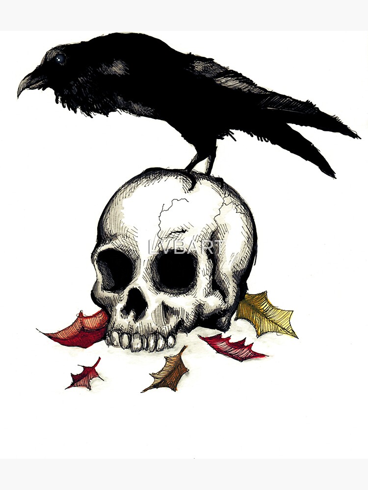 "Raven Skull Poe Gothic Crow" Magnet for Sale by LVBART | Redbubble